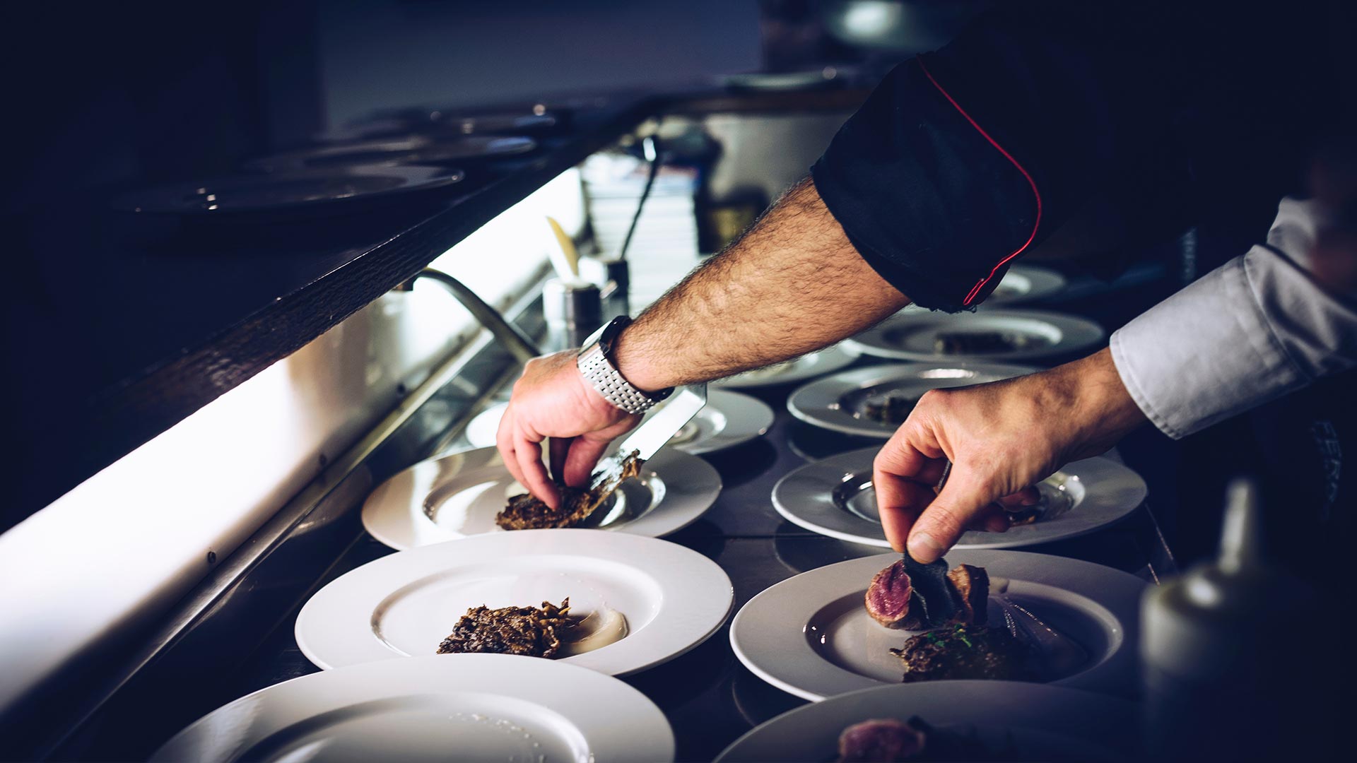 Catering - Background - Portal Vectalia